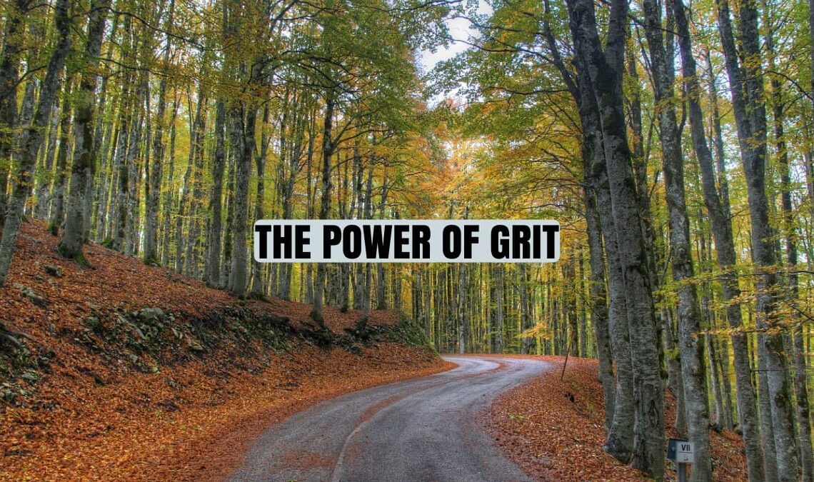 The Power of Grit: Unlock Your Resilience and Achieve Success