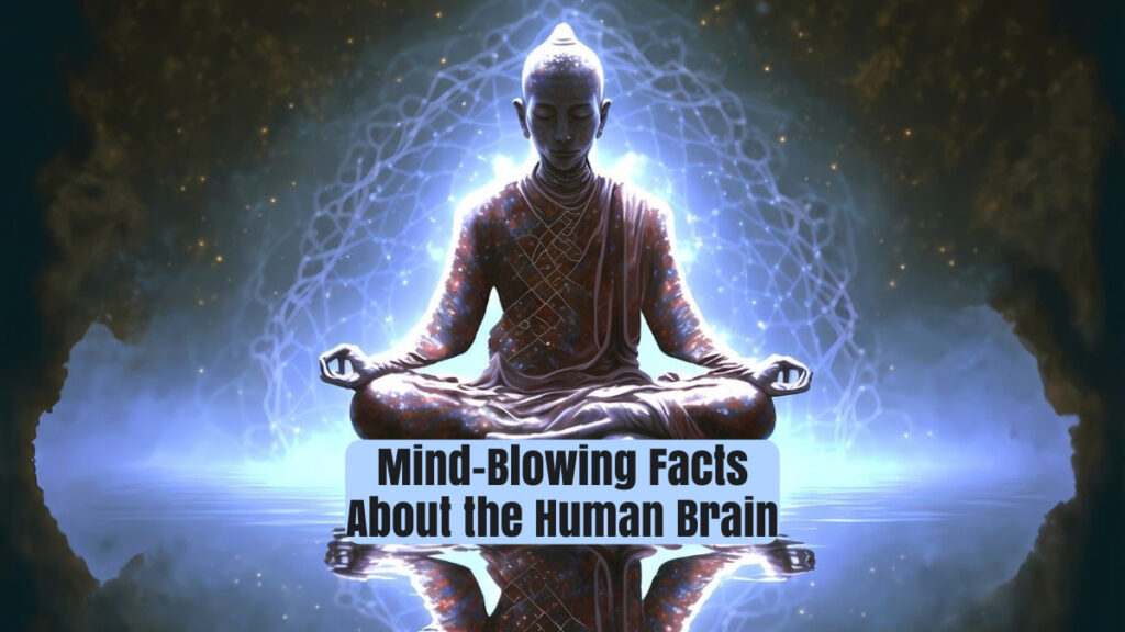 Unveiling the Wonders: 10 Mind-Blowing Facts About the Human Brain